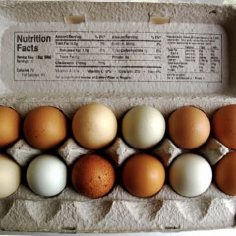 Buda Farmer’s Market