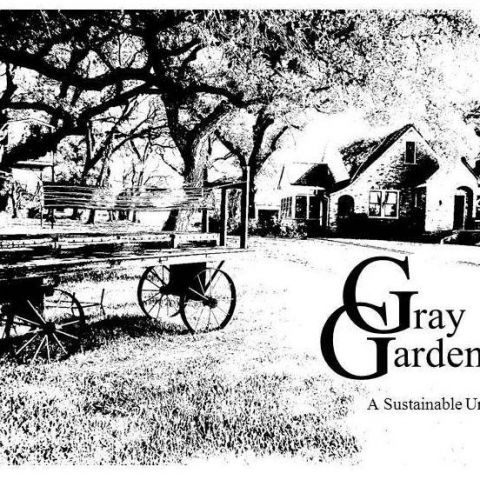 Buda Farmer’s Market